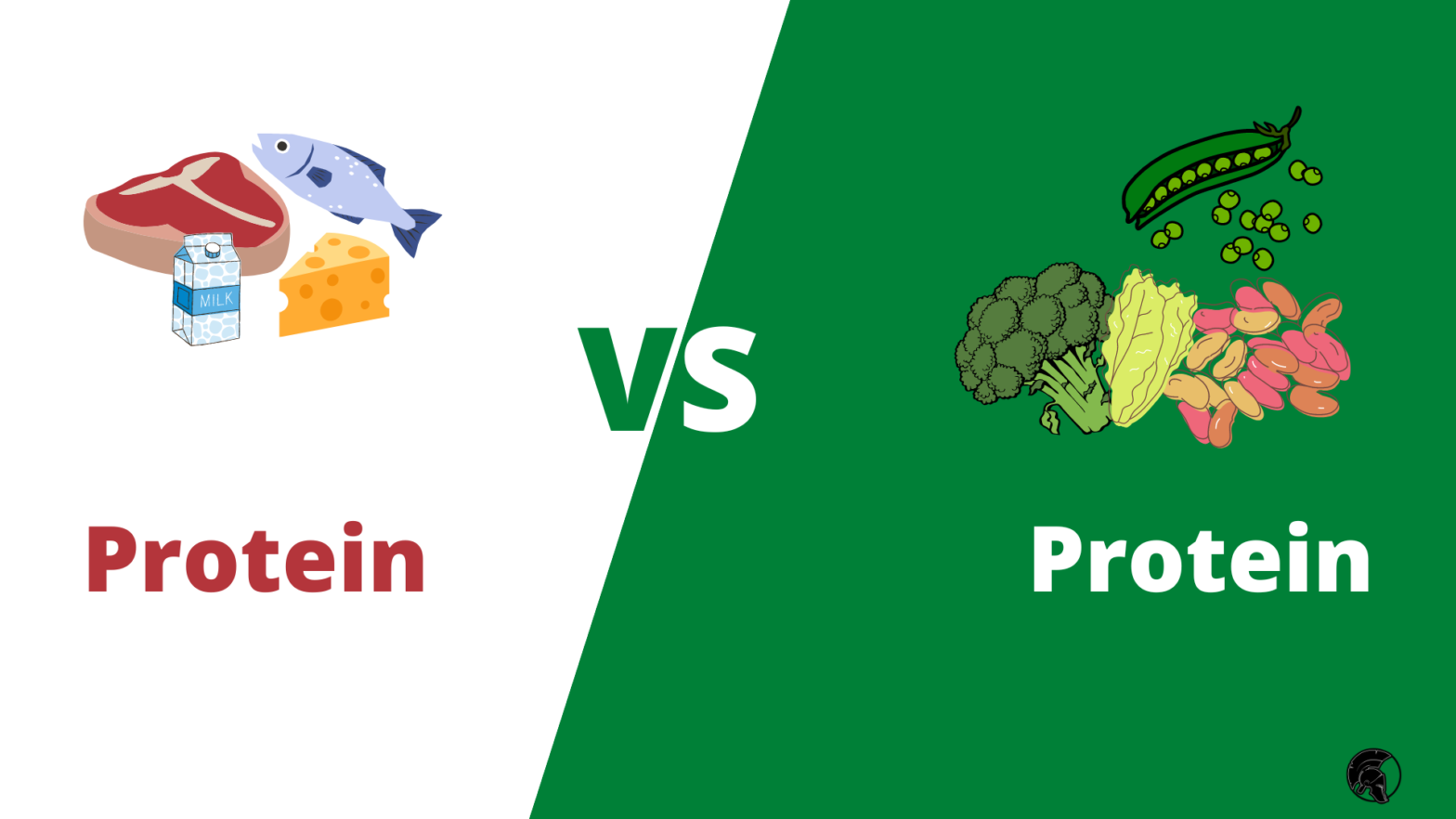 Benefits of Plant-based Protein vs Animal Protein - Spartan Pro Fitness